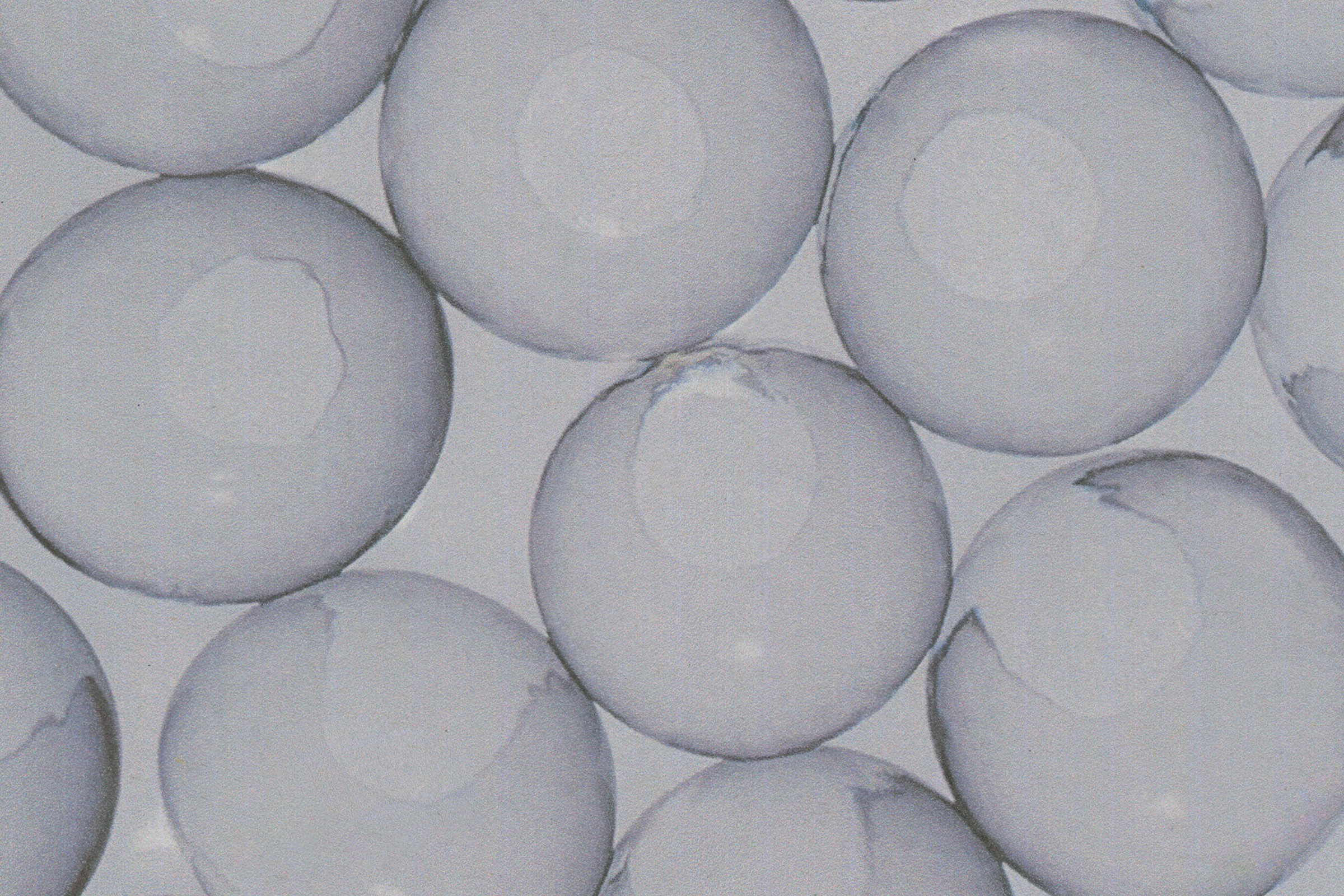 1718 – Zara Join Life 23